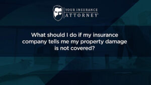 Frequently Asked Questions | Your Insurance Attorney